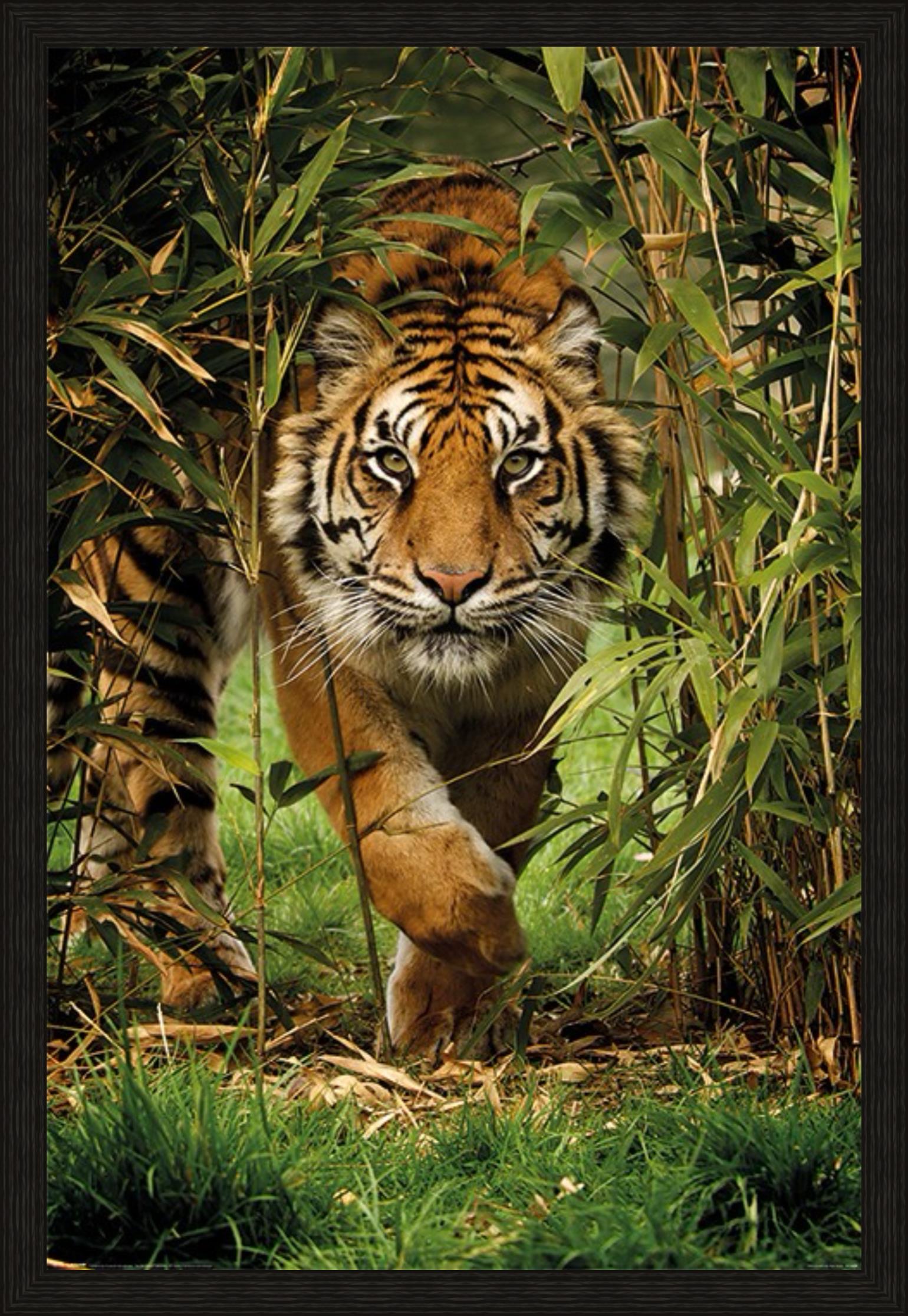 Grif & Graf: Cadres et toiles modernes, art mural, décoration